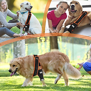 Dog Knee Brace Leg Braces with Side Stabilizers for Dogs Support for Torn ACL CCL Hind Leg, Knee Cap Dislocation, Cruciate Ligament Injuries, Patella Dislocation or Osteoarthritis （L）