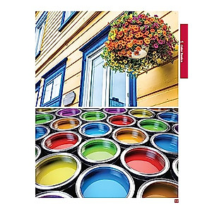 Painting: Interior and Exterior Painting Step by Step (Creative Homeowner) Beginner-Friendly Guide - Repair and Prep Surfaces, Select Equipment, Paint Like a Pro, Tips, and More (Home Improvement)