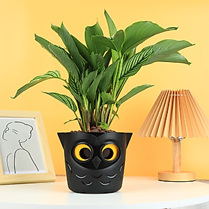 Restmo 3 Pack Plant Pots, 5” Self Watering Planters for Indoor Plants, Plastic Flower Pots with Owl Eye Water Level Indicator, for House Plants, African Violet, Succulents, Monstera, Dark Black