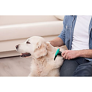 Ruff 'N Ruffus Deshedding Brush for Dogs & Cats - Reduces Shedding by up to 95% with Detachable Head & Non-Slip Grip, Comes with Free Nail Clippers, Suitable for All Breeds