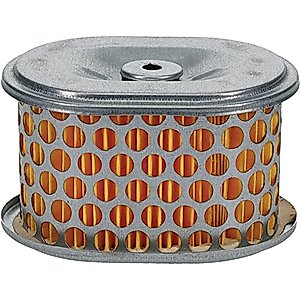 Kohler 055-919 Air Filter, Multi