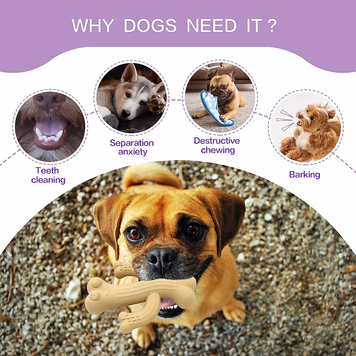 Medlladle Dog Chew Toys Cactus for Aggressive Chewers Small Breed, Indestructible Tough Dog Toys for Puppies Pet Toy with Durable Natural Rubber