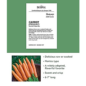 Burpee Scarlet Nantes Carrot Seeds 3000 seeds