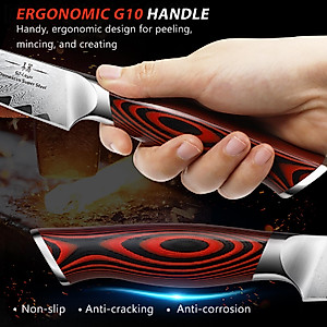 HOSHANHO Paring Knife 3.75 Inch Small Kitchen Knife, Super Sharp VG-10 Damascus Steel Fruit Knife, Multifunctional Peeling Knife for Cutting Fruit Vegetables