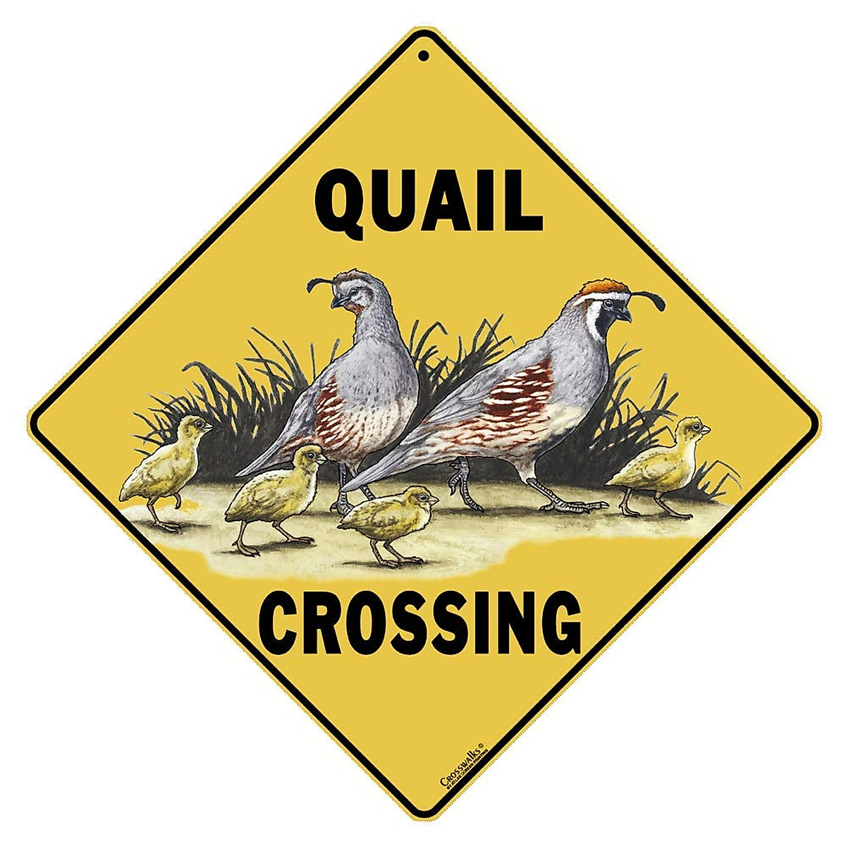 CROSSWALKS Quail Crossing 12" X 12" Aluminum Sign (X143)
