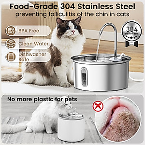 Petlipo Cat Water Fountain Stainless Steel: 108oz/3.2L Cat Fountain for Drinking, Pet Fountain Water Bowl Dog Drinking Dispenser Cat Feeding & Watering Supplies, Super Quiet Kitty Spout for Cats Dogs