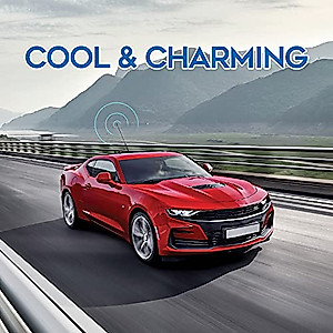 Eightwood Universal Vehicle Antenna Replacement 16 inch, AM FM Roof Mount Car Radio Antenna Mast, Flexible Rubber Antennae with M4 M5 M6 Threaded Adapter