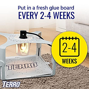 TERRO T230 Indoor Electric Flea Light Refillable Flea Trap and Killer