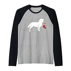American Water Spaniel Christmas Stocking Stuffer Dog Raglan Baseball Tee