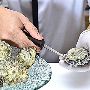 Dhieong 8 Pack Oyster Knife Oyster Shucking Knives Shucker - Stainless Steel Oyster Shucker Shucker Oyster Shuckers with Non Slip Handle for Clam Crab Shellfish Seafood Opener