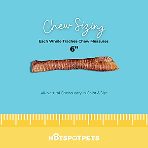 hotspot pets Premium 6'' Beef Trachea for Dogs Large - All Natural Long Lasting Dog Chews Rich in Glucosamine & Chondroitin 100% Beef Chews Single Ingredient Grass Fed Dog Treats - (8 Count)