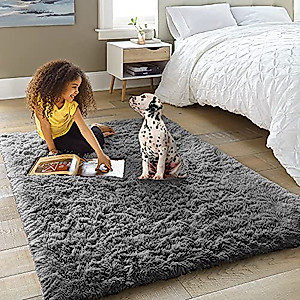 Ophanie Machine Washable 3 x 5 Feet Rugs for Bedroom, Fluffy Shaggy Bedside Floor Dorm Grey Area Rug, Soft Gray Fuzzy Non-Slip Indoor Room Carpet for Kids Boys Girls Teen Home Decor Aesthetic, Nursery