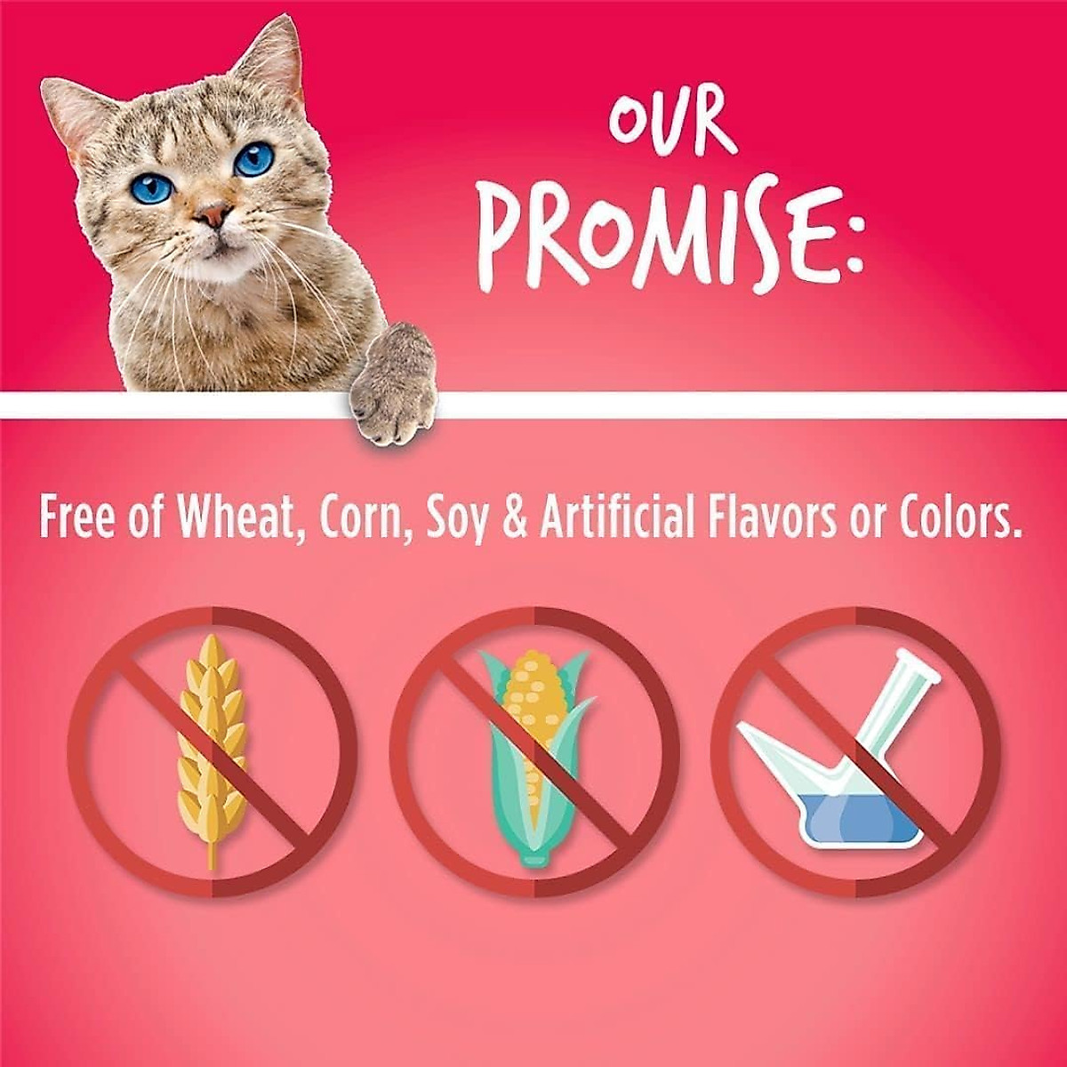 Fruitables Cat Treats | Crunchy Cat Treats | Healthy Low Calorie Cat Treats Packed with Protein | Free of Wheat, Corn and Soy | 2.5 oz (Pack of 3)