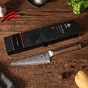 FUJUNI Chef Knife 6 inch, Professional Chef Knife VG 10 Damascus Super Steel 67-Layer Razor Sharp Kiritsuke Knife with Natural Wood Handle