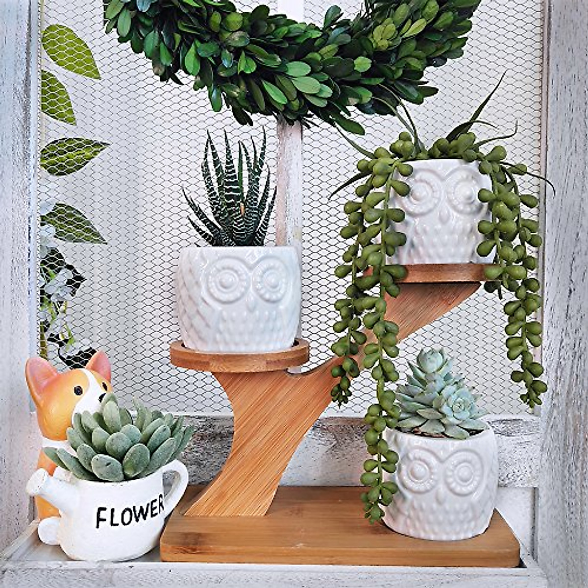 3pcs Owl Succulent Pots with 3 Tier Bamboo Saucers Stand Holder - White Modern Decorative Ceramic Flower Planter Plant Pot with Drainage - Home Office Desk Garden Mini Cactus Pot Indoor Decoration