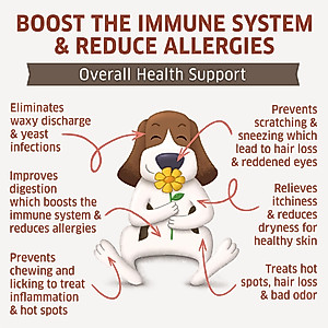 Dog Allergy Relief - Dog Allergy Chews - Itch Relief for Dogs - Anti Itch for Dogs - Dog Itchy Skin - Dog Allergy Support - Treats Hot Spots - Healthy Skin & Coat - Immune Health Supplement - 120 Ct