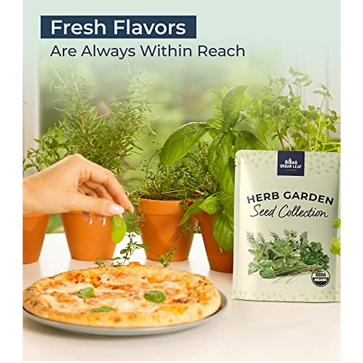 Organic Herb Seeds for Planting, Indoor Outdoor and Hydroponic Garden, incl Basil Cilantro Mint and Dill Seeds, Non GMO and USDA Certified Organic, Gardening Variety Pack