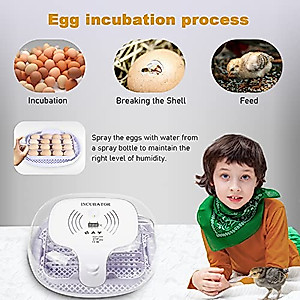 16 Eggs Incubators for Hatching Eggs with Temperature Control, Egg Candle Automatic Egg Turner Poultry Incubators for Hatching Chickens, Ducks, Quails
