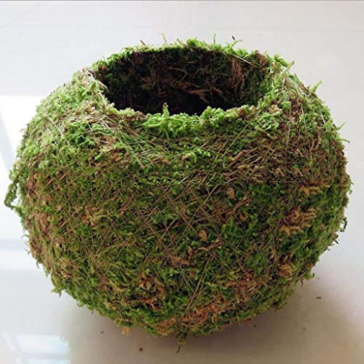 Moss Ball Flower Pot Natural Planter Bonsai Plant Holder Bird Nest for DIY Gardening Home Table Decoration - 12cm