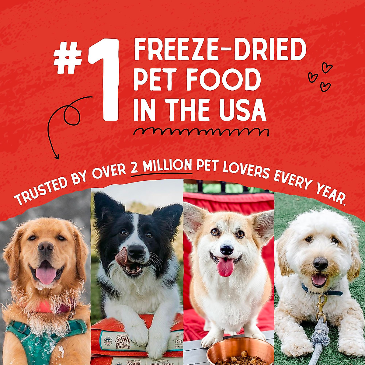 Stella & Chewy's Freeze Dried Raw Chewy’s Chicken Meal Mixers – Dog Food Topper for Small & Large Breeds – Grain Free, Protein Rich Recipe – 3.5 oz Bag