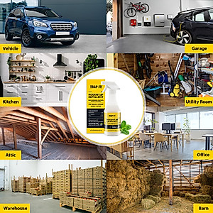 TRAP IT! Peppermint Oil Spray for Rodents, 16OZ Natural Mice Repellent Indoor to Repel Mice & Rats Pet Family Safe, Powerful Mouse Repellent for Car Engines RV Campers Trucks Boats Pest Control