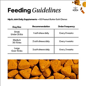 Wild Earth Dog Supplements, Soft Chews for Hip & Joint Support, with Omega 3 Fatty Acids & Anti-inflammatory Turmeric, Veterinarian-Developed, Vegan