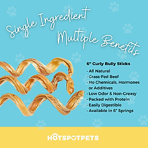hotspot pets Spring Bully Sticks for Dogs - (12 Pack) Premium All Natural Long Twisted Beef Pizzle Dog Chew Treats - Grain Free Fully Digestible Rawhide Alternative - 6 Inch Stix