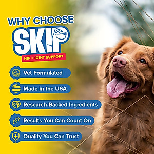 Dog Hip and Joint Supplement, 60 Soft Chews with Glucosamine, Chondroitin, MSM & Green-Lipped Mussel, Supports Mobility & Joint Health - Vet-Formulated Glucosamine for Dogs Small & Large Breeds