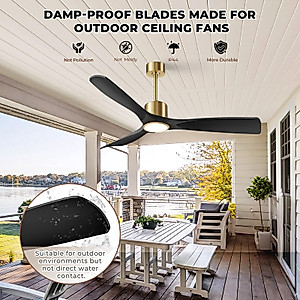 BOOSANT Ceiling Fans with Lights, Ceiling Fans with Lights and Remote Control, 52 inch Ceiling Fan with Light, Outdoor Ceiling Fans for Patios 3 Blade Bedroom Living Room-Matte Black and Gold