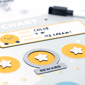 LitteHippo Magnetic Star Reward and Behavior Chart - Rewards Board for Potty and Sleep Training - Chores Chart for Toddlers - Responsibility Chart for Kids at Home (Includes Bonus Bedtime Pass)