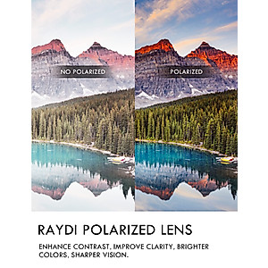 Raydi Polycarbonate Replacement Lenses for Spy Optic Logan Rectangular Sunglasses - Silver Titanium Mirror - Polarized