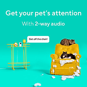 Wyze Cam Pan v2 360° Pet Camera with Phone App PTZ Indoor Smart Security Camera for Dog Cat Baby Elderly Monitoring, 2-Pack