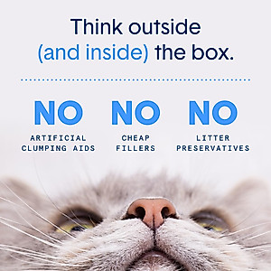 Boxie® Pro™ 40 Day Probiotic Odor Control Non-Clumping Crystal Cat Litter, 6 lb, Self-Cleaning, MicroDry™ Crystals, 99.9% Dust-Free, Long-Lasting, Health Benefits for Multi-Cat Homes