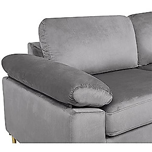 Devion Furniture Modern Velvet Sectional Sofa in Gray/Gold Legs