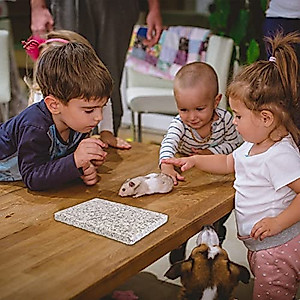 Mipcase Pet Cool Plate Chinchillas Ice Bed Summer Pet Pad Natural Hamster Cooling Hamster Cooling Granite Slab Hamster Cooling Board Pad- Marble Pet Cooling Mat Cool Pet Cushion Summer Marble Board