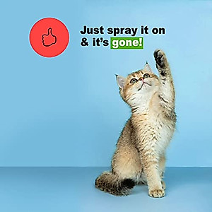 Urine Gone ProClean Stain and Odor Remover, Multi-Surface, Eliminates Tough Dog Cat People Stains, and Odor on Wood, Carpet, Vinyl, and Tile Floors, 20 Fl Oz