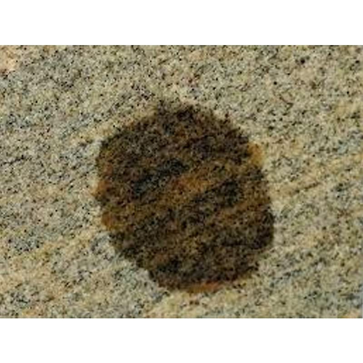 Bioclean Hard Water Stain Remover 20.3 oz