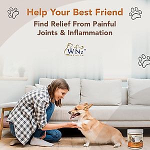 Turmeric Hip and Joint Chews for Dogs, Dog Chews for Mobility Support, Cartilage Health & Dog Joint Pain Relief, Anti-Inflammatory MSM, Glucosamine and Chondroitin for Dogs, 90 Chews, 8 Oz