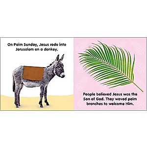 Baby's First Easter (Baby's First Holidays)