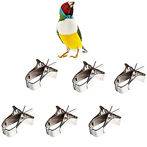 6 Pcs Bird Food Holder Parrot Cage Seed Feeder Stainless Steel Vegetable Fruit Clip for Bird Cockatiel Parrot Hamster