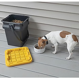 Generic Commander Medium 5-Gallon (20-Quart) Black/Yellow Heavy Duty Tote with Hinged Lid - Lockable, Durable Polypropylene, Lightweight, Easy Access Storage Box