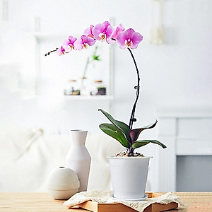 Meshpot 4 inch Clear Orchid Pots with Holes Match White Plastic Orchid Planter,Set of 2,Double Layer Plant Nursery Pots Own Scientific Controlling Roots Technology