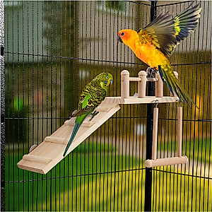 FrgKbTm Bird Perches Platform Swing with Climbing Ladder, Parakeet Cage Accessories Wooden Playing Gyms Exercise Sturdy for Small Birds