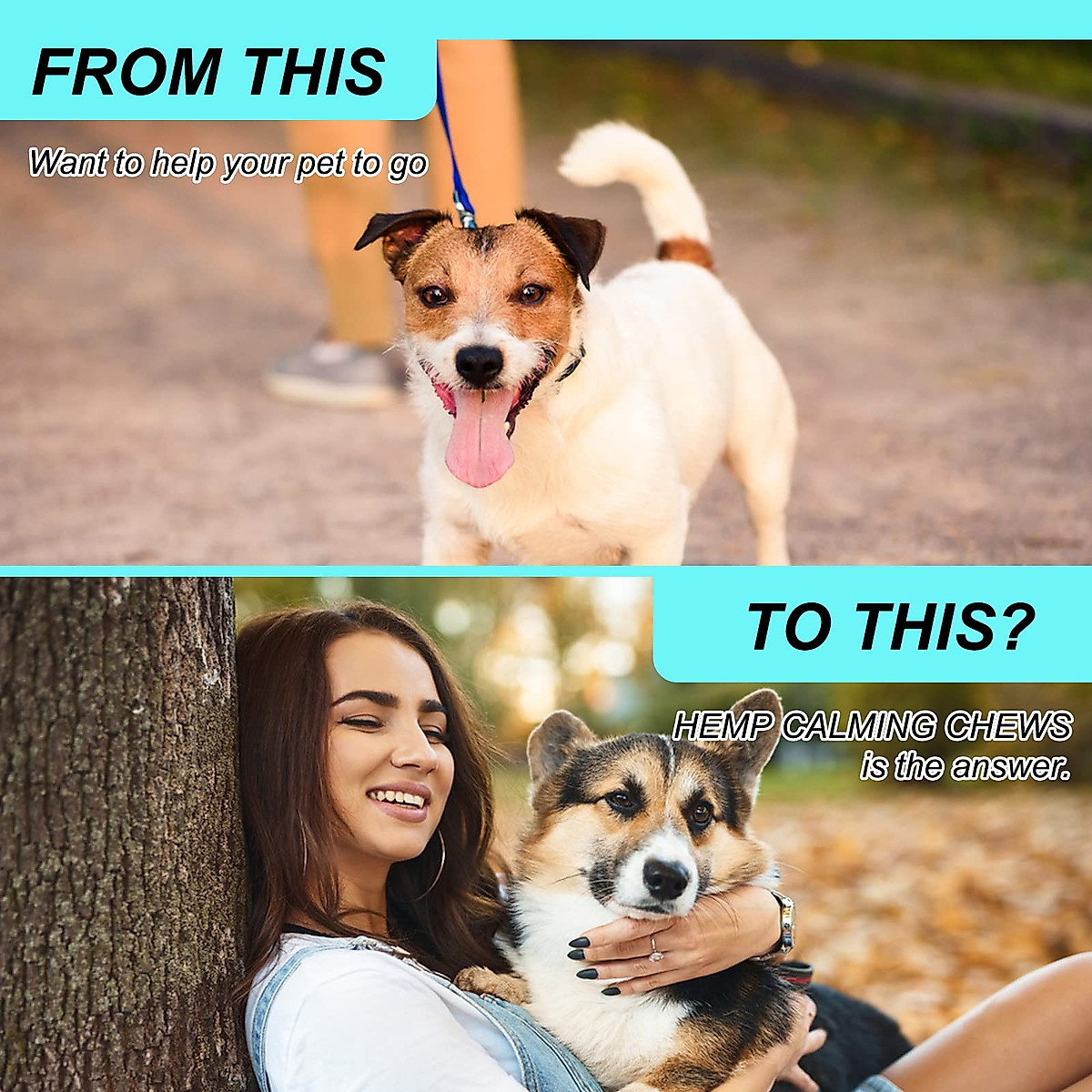 Bieyoc Calming Chews for Dogs - Natural Stress and Anxiety Relief, 150 Soft Dog Calming Chews Help Dog Anxiety Relief. (Peking Duck)