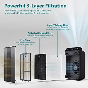 116130 Replacement Filter, 5500-2 Air Puri-fier Replacement Filter Compatible with winix 5500-2, AM80 Air Puri-fier, 2 Pack Filters and Activated Carbon Pre-Filters.