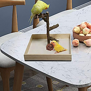 Hamiledyi Bird Perch Stand Tabletop,Parrot Playground Bird Gym Natural Wooden Perch PlayStand Platform for Parrots Parakeets Canaries Cockatiels Conure Lovebirds