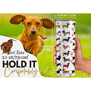 Onebttl Dachshund Gifts, Dachshund 5D Seamless Pattern, Gifts for Wiener Dog Lovers, Women, Girls, Friends, Daughters, Coworkers, Stainless Steel Tumbler 20Oz, White