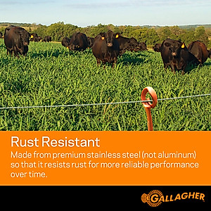 Gallagher Electric Fence Poly Wire | Bonus Pack - 1312 Ft Plus Free 328 Ft Roll | 6 Stainless Steel Strands for Reliable Conductivity and Rust Resistance | 1/16" Diameter Polywire | UV Resistant