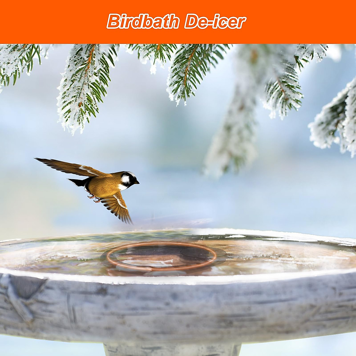 lollyes 250W Bird Bath Heater, Heated Bird Baths for Outdoor in Winter, Bird Bath De-icer with Thermostatically Controlled and 3.3Ft Cord, with Auto Shut Off Function, Ideal Gift for Birds