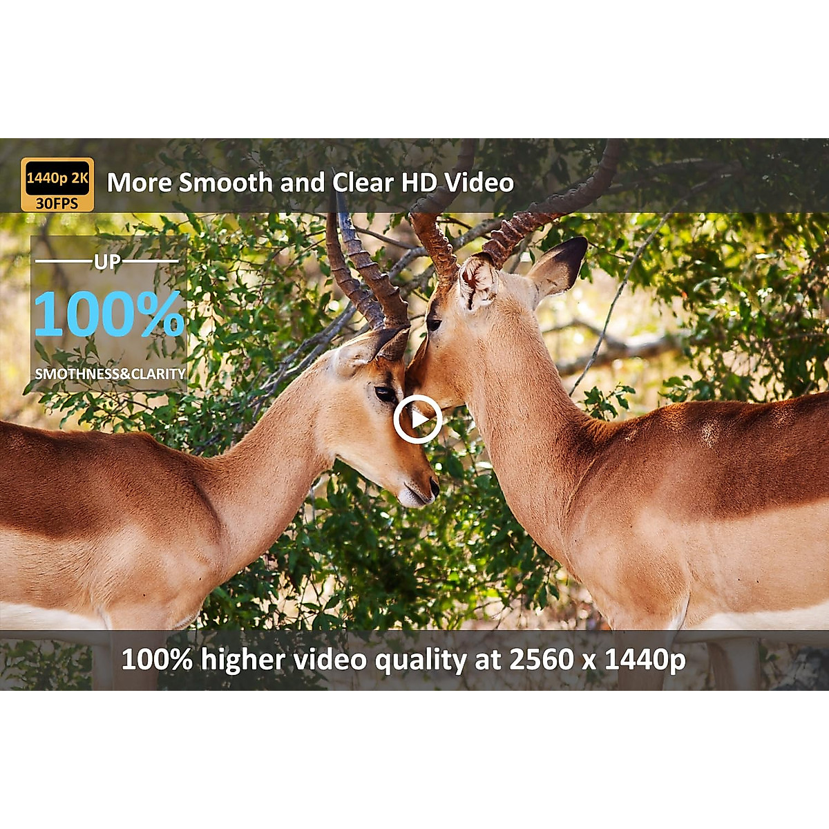 Meidase Trail Camera, 48MP 1440p, Clear 100ft Night Vision Motion Activated, Hunting Game Camera with Fast 0.1s Trigger Speed, IP66 Waterproof